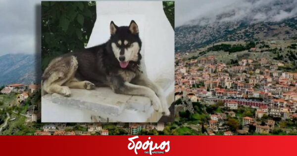 Πιάσαμε πάτο ή ακόμα; - Δρόμος της Αριστεράς